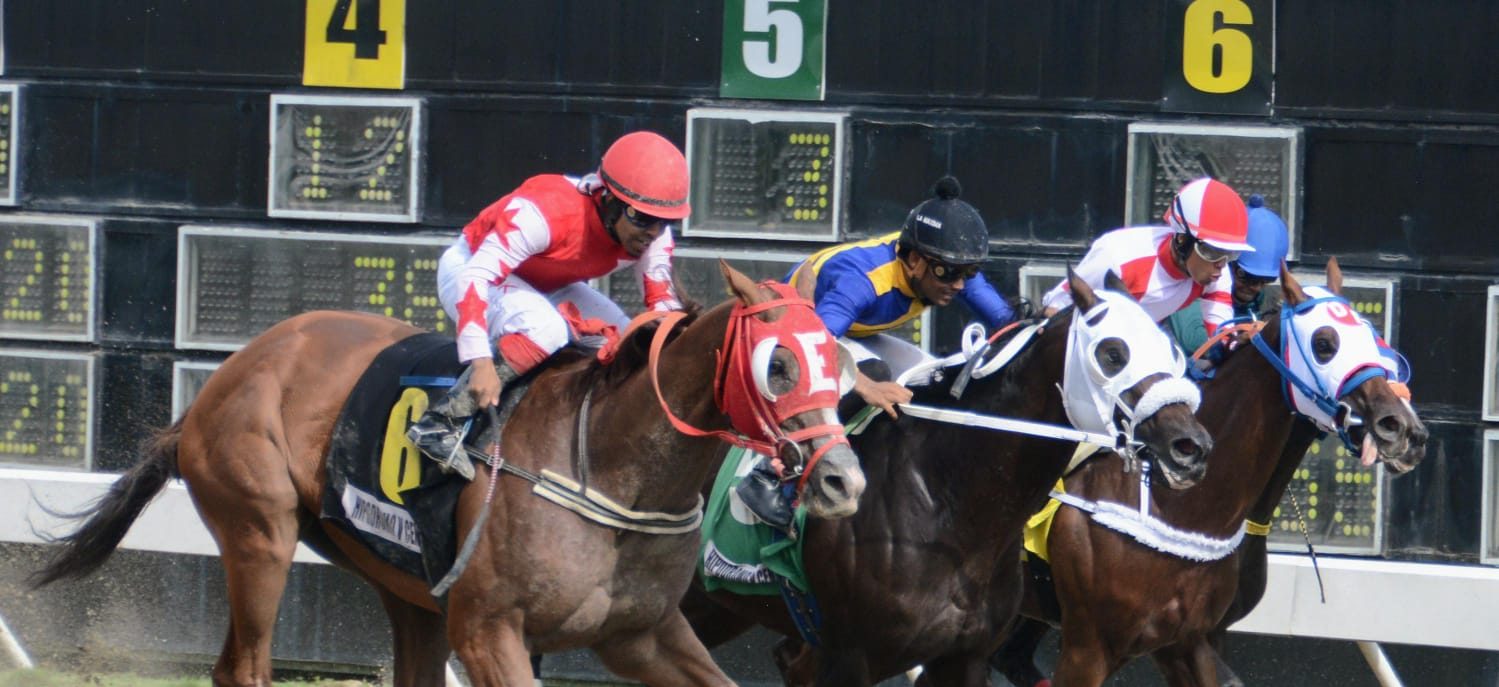 Dueños compran caballos importados a Comisión Hípica - Momento Deportivo RD
